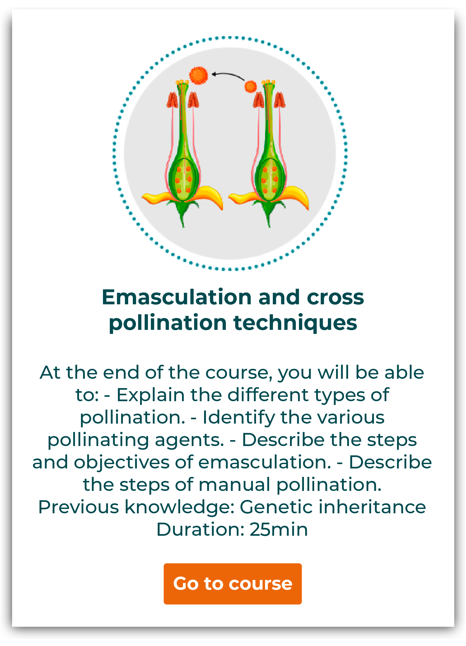 e-LearningbyDoing: Program